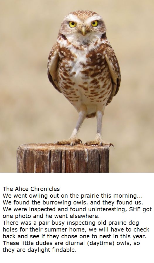 index [www.goodsitesforkids.org]